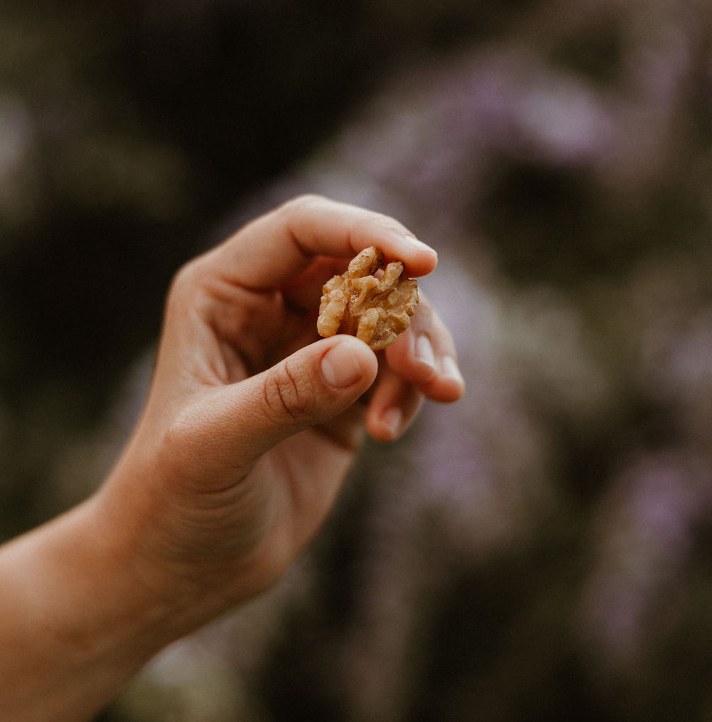 Classic Sprouted Walnuts 8 oz Classic Bag